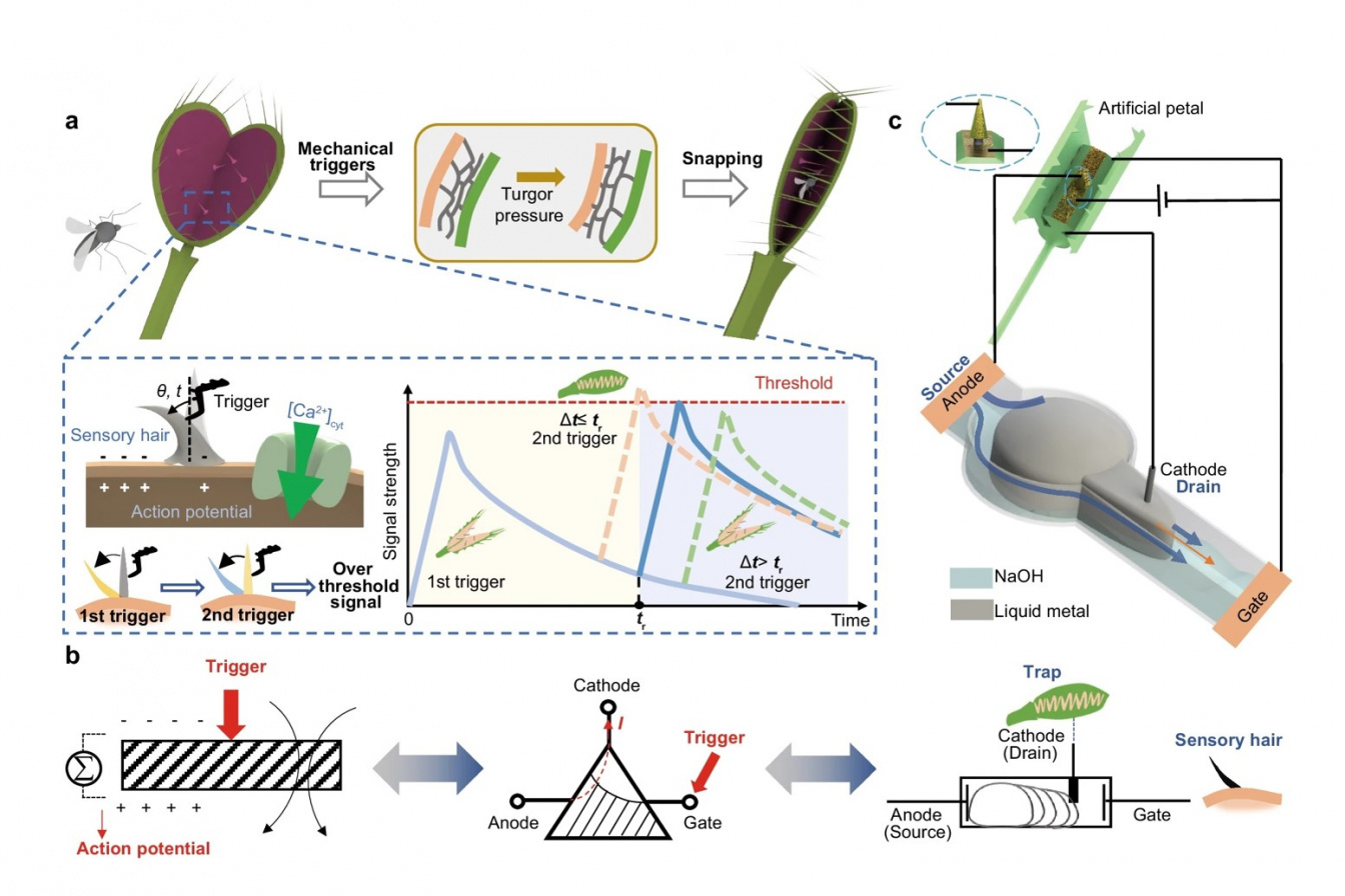 HKUST Engineering Researcher Developed Liquid Metal-Based Electronic ... HKUST Engineering Researcher Developed Liquid Metal-Based Electronic ...